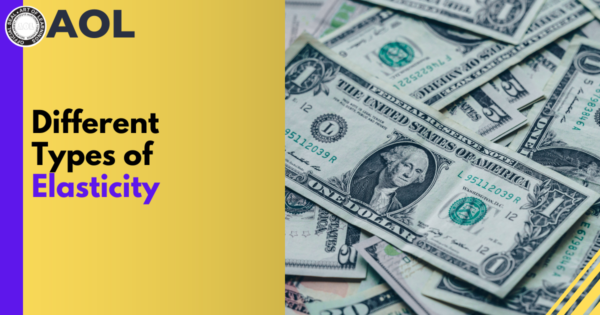 A Beginner's Guide to Demand Elasticity by AOL Economics